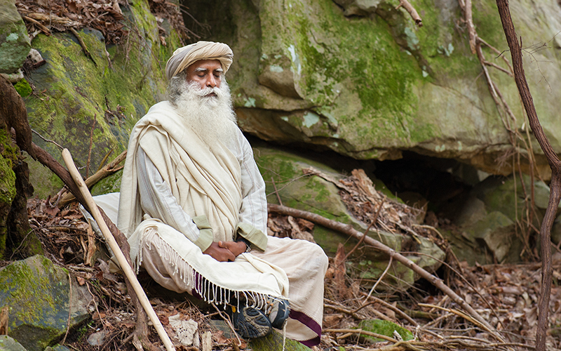 每日智慧，12月31日 | isha瑜伽 萨古鲁